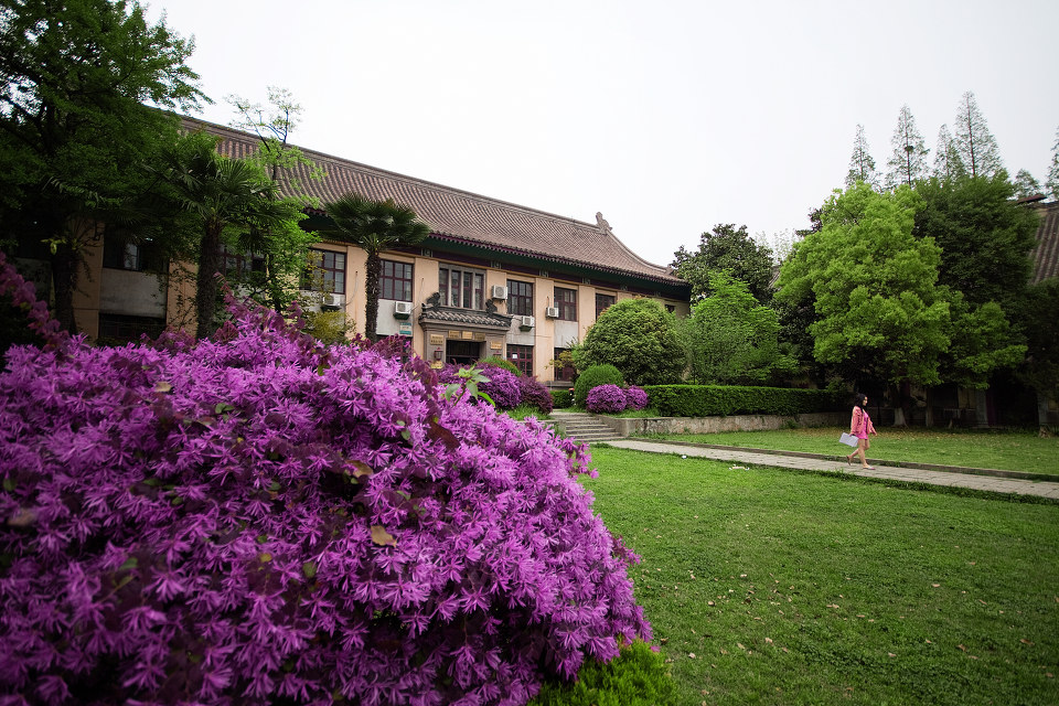 Universities | Nanjing Normal University