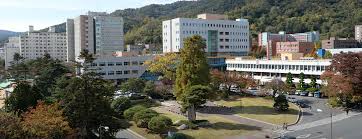 Universities | Sunchon National University