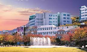 Universities | Daegu University